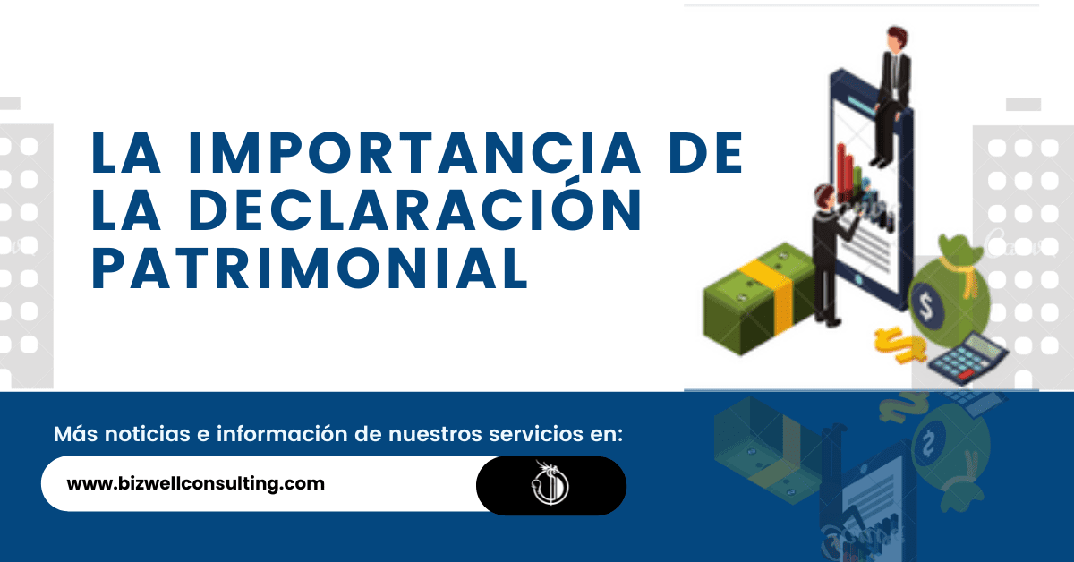 La importancia de la Declaración Patrimonial: Entendiendo su relevancia ...